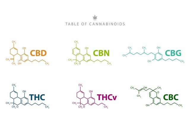 THC-O vs THC-P: Difference In Effects, Benefits, Quality | Delta North