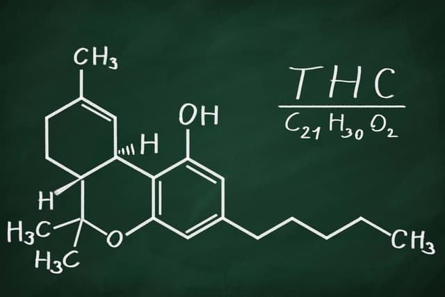 What is THC? Uses, side-effects, and more | Delta North