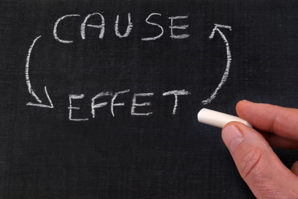 The Entourage Effect: Understanding the Cannabis Plant | Delta North